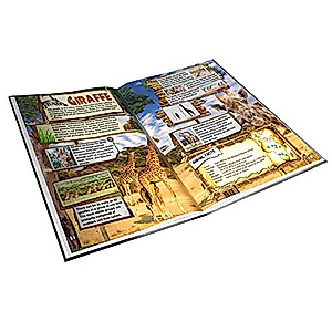 POPAR Safari Interactive Smart Book