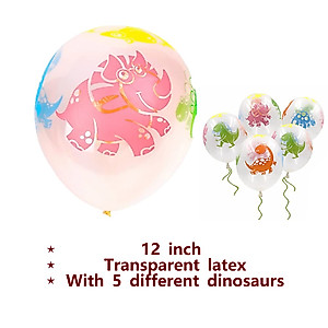 Dinosaur Party Decorations for Baby Girls-1 Happy Birthday Banner, 1 Dino-mite Garland,6 Pink Paper Fans, 12 Dino Balloons-Birthday Supplies and Favors for Kid's Christmas Thanksgiving 1st 2nd 3rd