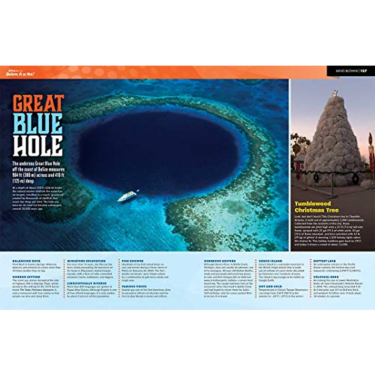 Ripley's Believe It Or Not! Mind Blown (17) (ANNUAL)