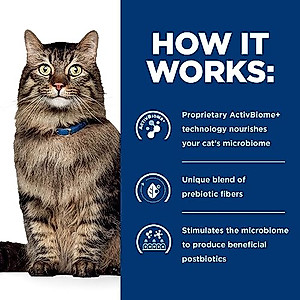 Hill's Prescription Diet Gastrointestinal Biome Digestive/Fiber Care with Chicken Dry Cat Food, Veterinary Diet, 4 lb. Bag