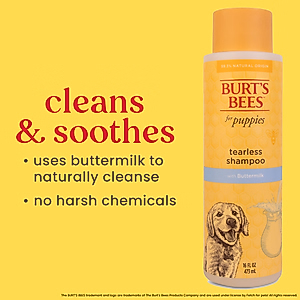 Burt's Bees for Pets Tearless Puppy Shampoo with Buttermilk, 95% Natural Origin Formulas, Shampoo for Puppies - Gentle Dog and Puppy Shampoo Tear Free, Best Puppy Shampoo Tearless, 16 oz
