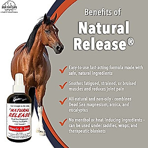 Four-Oaks Farm Ventures, Natural Release Muscle Spray Treatment - Horse Liniment for Sore Muscles, Joint Pain, Tendon & Inflammation Relief - Easy to Use, Fast Acting, Alcohol & Menthol Free (8 oz)