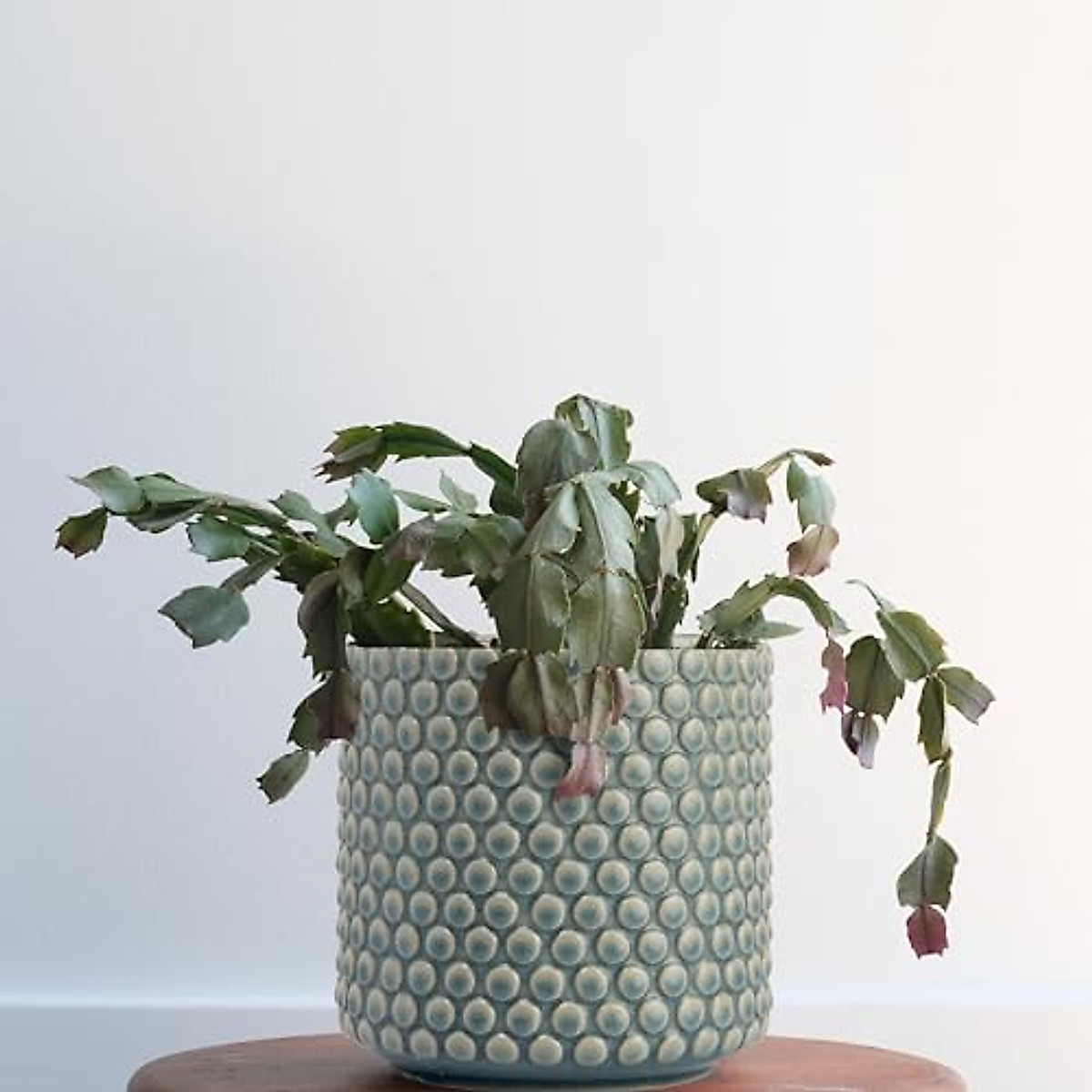 Bloomingville Coastal Stoneware Pot with Raised Dots and Crackle Glaze, Sky Blue, 6"