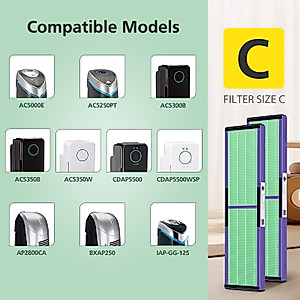 isinlive 2 Pack FLT5000 True HEPA Filter C Replacement with Pet Pure Treatment, and 8 Pack Activated Carbon Pre-Filters for Ger Guardian Air Purifier FLT5111 AC5000 AC5000E AC5250PT AC5350B AC5350BCA