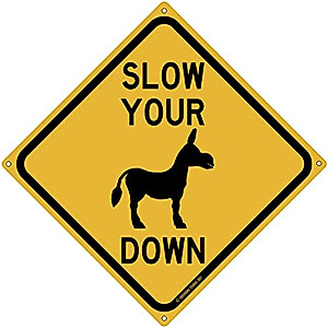 Slow Your Ass Down 12" x 12" Funny Tin Road Sign Driver and Motorist Alert Protect Neighborhood Children Home Decor