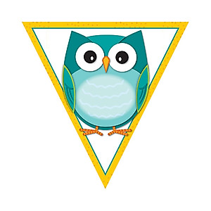 Carson Dellosa Banner, Colorful Owls (102038)