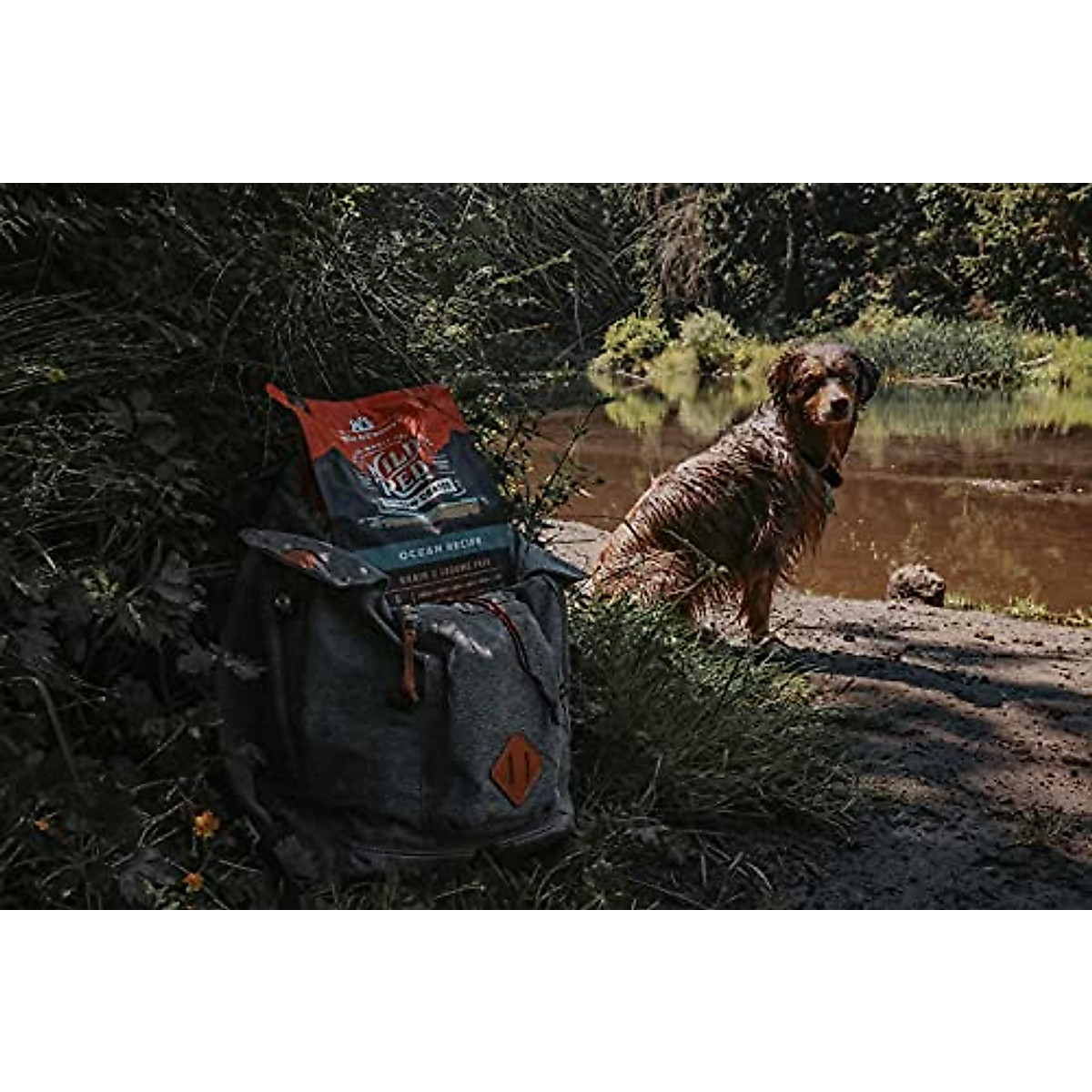 Stella & Chewy's Wild Red Dry Dog Food Raw Coated High Protein Grain & Legume Free Ocean Recipe, 3.5 lb. Bag