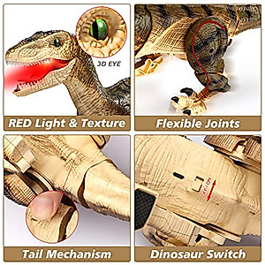 Hot Bee Remote Control Dinosaur Toys for Boys 4-7 8-12, Walking Robot Dinosaur Toy w/Light & Roaring Simulation Velociraptor, Dinosaur Gifts for Boys Age 4 5 6 7 8-12