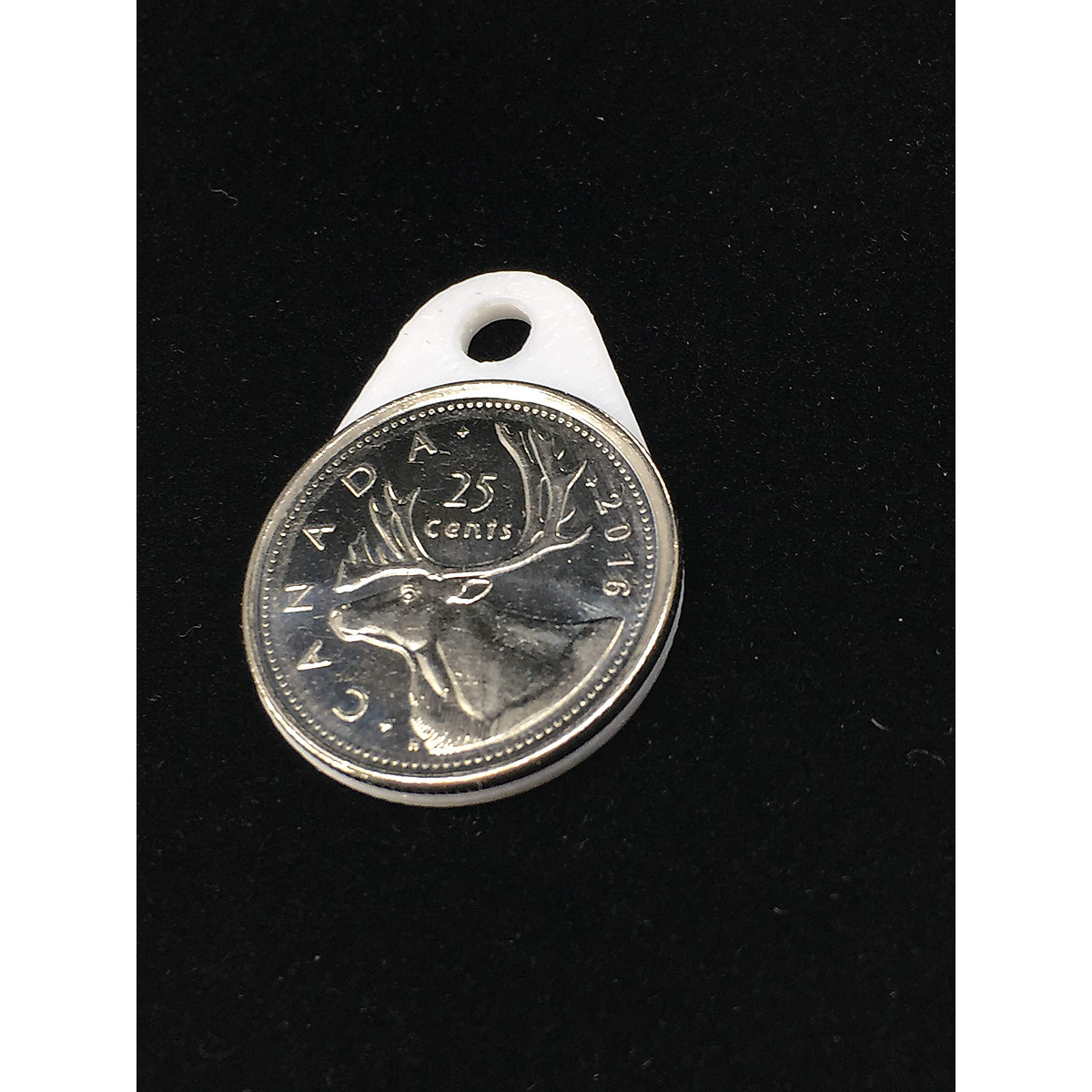 Shopping Cart Quarter Version 2.0 (White Polycarbonate, 4)