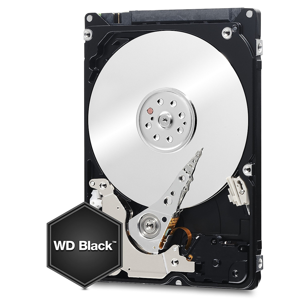 WD Black 320GB Performance Mobile Hard Disk Drive - 7200 RPM SATA 6 Gb/s 16MB Cache 9.5 MM 2.5 Inch - WD3200BEKX