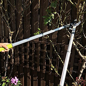 Premium Anvil Loppers Heavy Duty - Telescopic Extending Long Handle Branch Cutter made with Durable SK5 Steel, Heavy Duty Loppers for Thick Branches, Davaon Pro