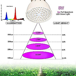 Full Spectrum Grow Light, 36W LED Grow Light Bulb -52 Red + 20 Blue AC220V 72 LEDs SMD2835 Plants LED Lamp Bulbs for Small Grow Box, Grow Tent, DIY Hydroponics, Bonsai, Garden etc