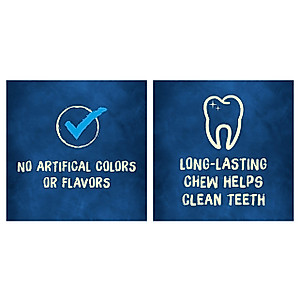 Purina Busy Rollhide Chew Treat - for Large Dogs - 2 Count Treats Per Package - Net Wt. 6 OZ (170 g) Per Package - Pack of 2