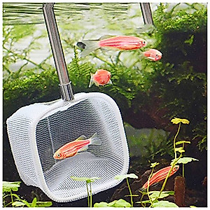 Upettools Fish Shrimp Skimming Net Fine Mesh Extendable Stainless Steel Handle Fishing Net for Aquarium Fish Tank Pond Creek