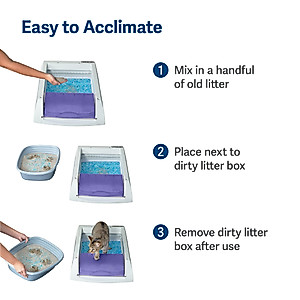 PetSafe ScoopFree Ultra Self-Cleaning Cat Litter Box – Automatic with Disposable Tray – Purple Covered
