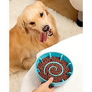 KOFPAR 2 Cup Ceramic Slow Feeder Dog Bowl, 8'' Slow Feeding Dog Dishes Medium Large Breed, Slow Eating Bowl for Fast Eater Anti-Choking Form Healthy Eating Habit, Puppy Puzzle Bowl Non-Slip Easy Clean