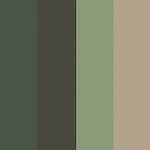 Rust-Oleum 269038-6 PK Specialty Camouflage Spray Pack, 12-Ounce, 6-Pack