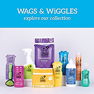 Wags & Wiggles Relieve Anti-Itch Spray for Dogs | Waterless Dry Shampoo for Dogs With Dry, Itchy, Or Sensitive Skin | Kiwi Scent Your Dog Will Love, 12 Ounces, Anti-Itch Spray - Kiwi