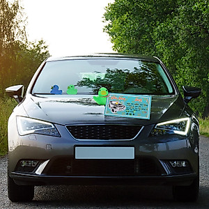 60 Pcs You've Been Shunned Cards with Rubber Ducks and Strings Small Rubber Duckies with Duck Card Tags Mini Rubber Ducks Bulk for Car Street Toy Party Game Decor Assorted Colors (Simple Style, Paper)