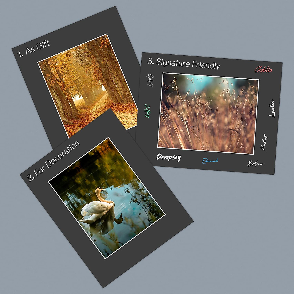 Golden State Art, Pack of 25, Acid-Free Black Pre-Cut 16x20 Picture Mat for 11x14 Photo with White Core Bevel Cut Frame Mattes