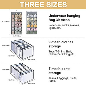 HENYNET Multi-size Wardrobe Clothes Organizer,Oxford Double-sided Underwear Panties Sock Hanging Bag,Foldable Jeans Shirt Skirts Compartment Box,for Clothing Storage,Gray
