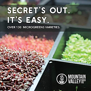 Radish Sprouting Seed - Red Arrow Variety - 1 Lb Seed Pouch - Heirloom Radish Sprouts - Non-GMO Sprouting and Microgreens