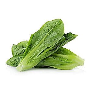 3000 Parris Island Cos Romaine Lettuce Seeds - 4+ Grams - Heirloom Non-GMO USA Grown Premium Vegetable Seeds for Planting - by RDR Seeds