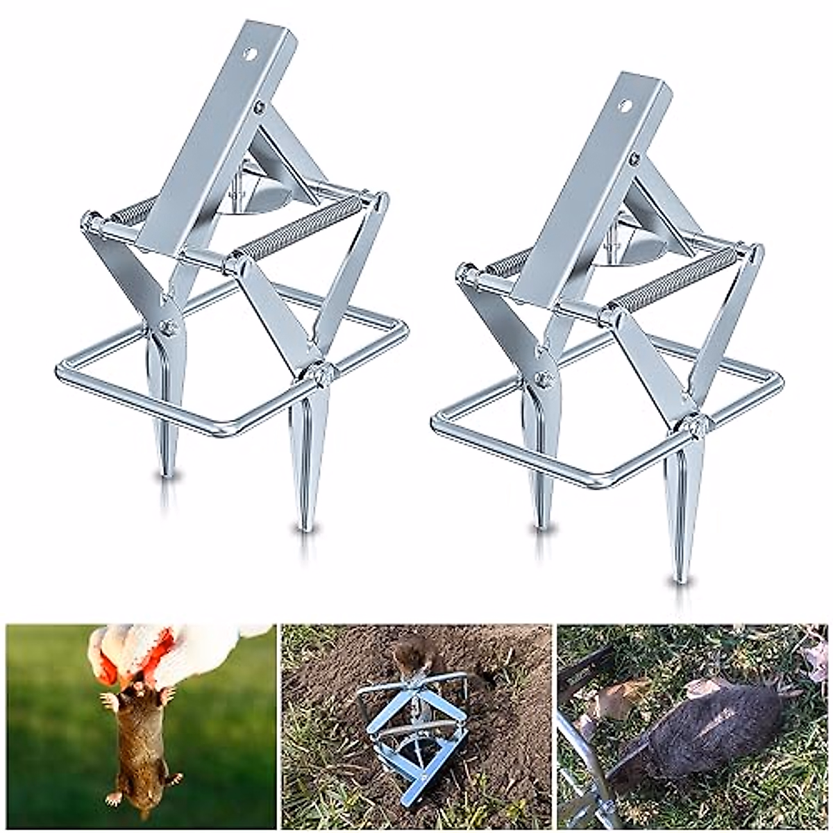 2 Pack Mole Traps That Kill Best, Scissor Mole Traps for Lawns Vole Traps Outdoor Use, Mole Trap Easy to Set Galvanized Steel Reusable Quick Capture Gopher