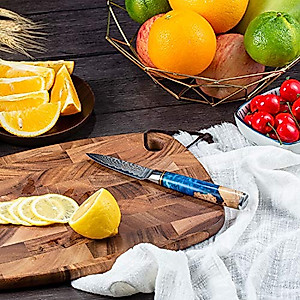 Fukep 3.5-inch Damascus Paring Knife + 5-inch Kitchen Utility Knife