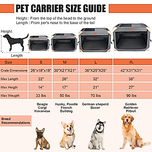 BCOCHAO Collapsible Dog Crate-Portable Dog Travel Crate for Medium/Large Dogs,4-Door 36 in Dog Crates,Sturdy and Durable,Breathable and Comfortable,Suitable for Indoor and Outdoor Travel;Dog Blanket