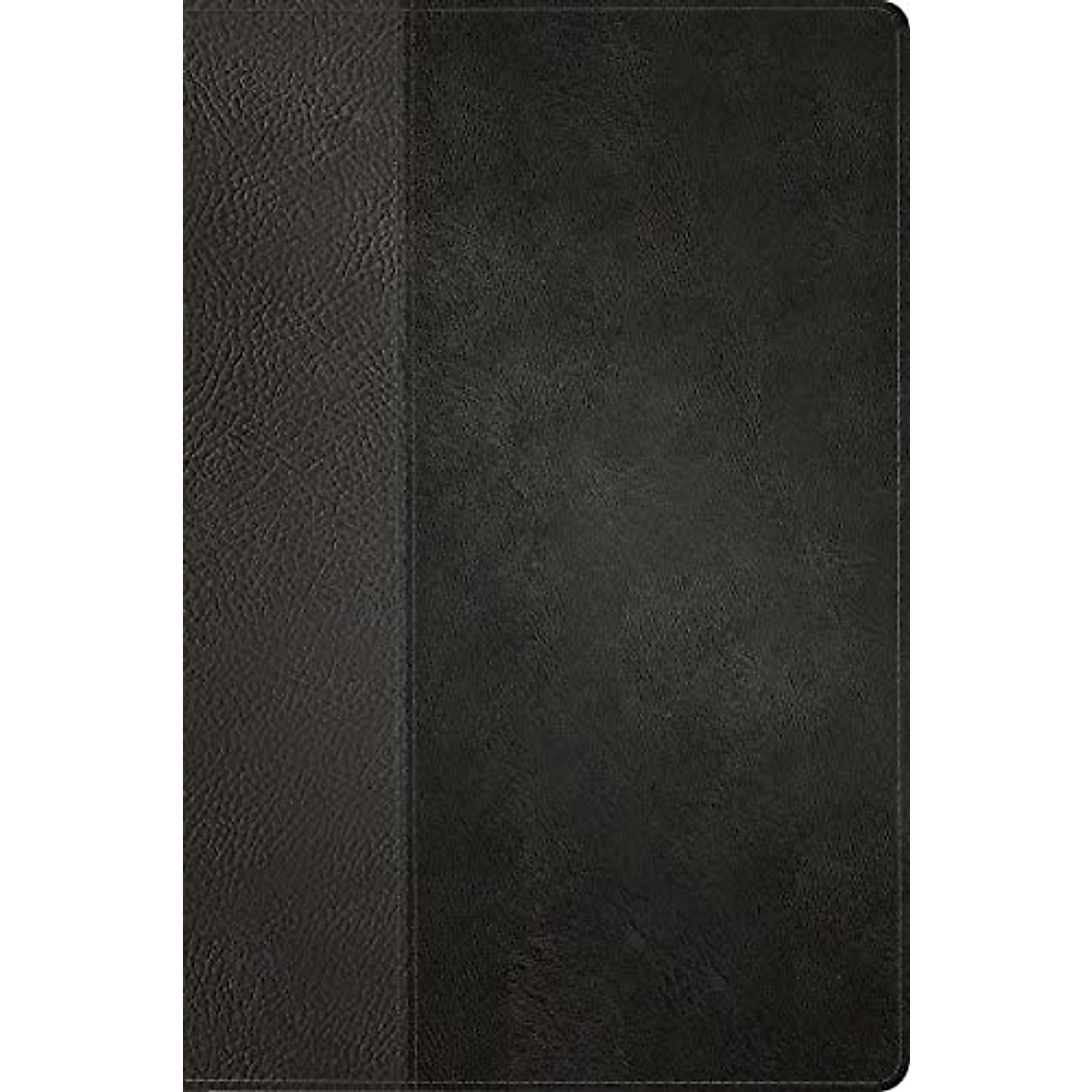 NLT Personal Size Giant Print Bible, Filament-Enabled Edition (LeatherLike, Black/Onyx, Indexed, Red Letter): Includes Free Access to the Filament ... Notes, Devotionals, Worship Music, and Video