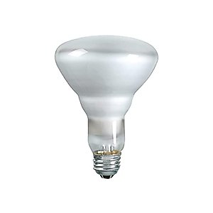 PHILIPS 65W BR-30 Reflector Flood Light Bulb, E26 Medium Base, 620 Lumens, Indoor, 12 Pack