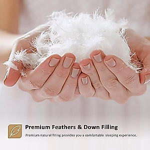 DWR Premium Feather Down Comforter Duvet Insert - 100% Skin-Friendly Cotton, Medium Weight Quilted for All Season Bedding (Full/Queen, Ivory White)