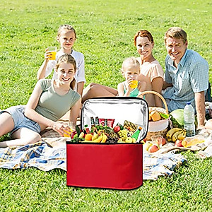 Ranley Thermal Food Bag | Insulated Grocery Bags with Zippered Top | Reusable Catering Supplies for Camping, Hot and Cool Food, Drinks, Beverage, Fruit, Vegetable