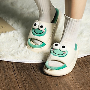 Gaolinci Cartoon Animal Shape Slippers, Womens Four Seasons Home Linen Slippers (Frog-US 8-9)