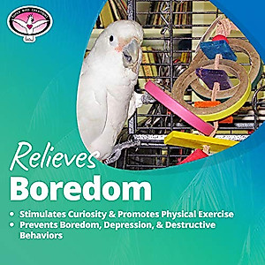 Super Bird Creations SB625 Olympic Rings Bird Toy, Large Bird Size, 15” x 4” x 4”