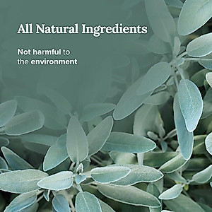 Magnificent 101 Scorpio Zodiac Sign Candle – Scented Soy Wax – Choose Your Birthdate – Make Great Holiday Gifts for Horoscope Fans – 6 oz Tin Holder Ideal for Men’s and Women’s Décor Style