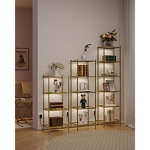 Hzuaneri Bookcase Bookshelf with LED Lighting, Tempered Glass Bookshelves, 8 Levels of Brightness and 20 Colors, Slim Shelving Unit for Bedroom Bathroom, Home Office, Steel Frame, 5 Tier Gold BC23599A