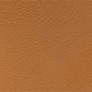 Fossil Women's Parker Leather Convertible Backpack Purse Handbag