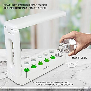 Ivation Herb Indoor Garden Kit | Complete Hydroponic Grow System for Herbs, Plants & Vegetables with LED Light, Seeding Box & Sponge Cubes, Planting Pods & Hats, Nutrients & Tweezers | Just Add Seeds!