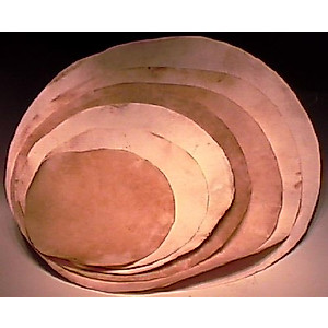 Goat Skin Djembe Head | Goatskin for Drum Doumbek| Natural Flat Round Piece GOAT SKIN Head untanned by AnNafi (10 inches)