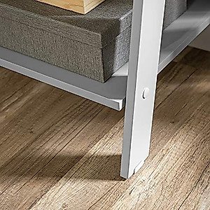 Walker Edison Sophia Modern 4 Shelf Ladder Bookcase , 55 Inch, Grey