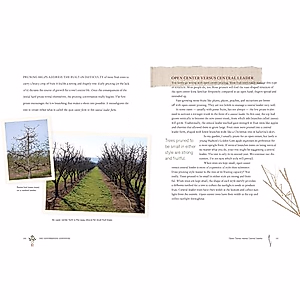 Grow a Little Fruit Tree: Simple Pruning Techniques for Small-Space, Easy-Harvest Fruit Trees