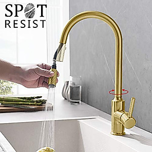 TURS Brushed Gold Kitchen Faucet Brass Kitchen Faucets with Pull Down Sprayer Single Handle One Hole High Arc Copper Kitchen Tap,FK002LG