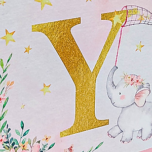 Kate Aspen Boxes with Letters for Baby Shower Decoration Little Peanut, One Size, Pink Elephant