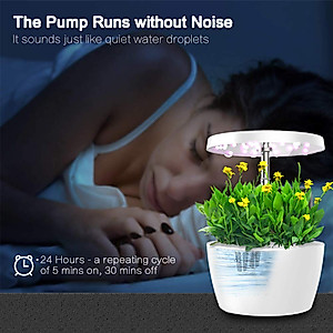 EVERECOO Hydroponics Growing System, 4 Pods Indoor Herb Gardening System with LED Grow Lights, Automatic Timer and Pump, Hydroponic Plant Germination Kits for Vegetable/Lettuce