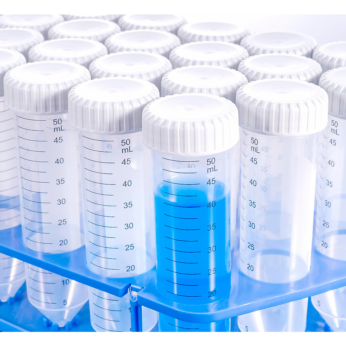 A-GEN 50mL Centrifuge Tubes with 5-Color Screw Caps [2Recycle Racks*25Tubes], USP VI Grade PP, Max RCF 12,000xg, Gamma Sterile, DNase/RNase Free,Non-Pyrogenic, Autoclavable [50PCS, 50mL Racked]