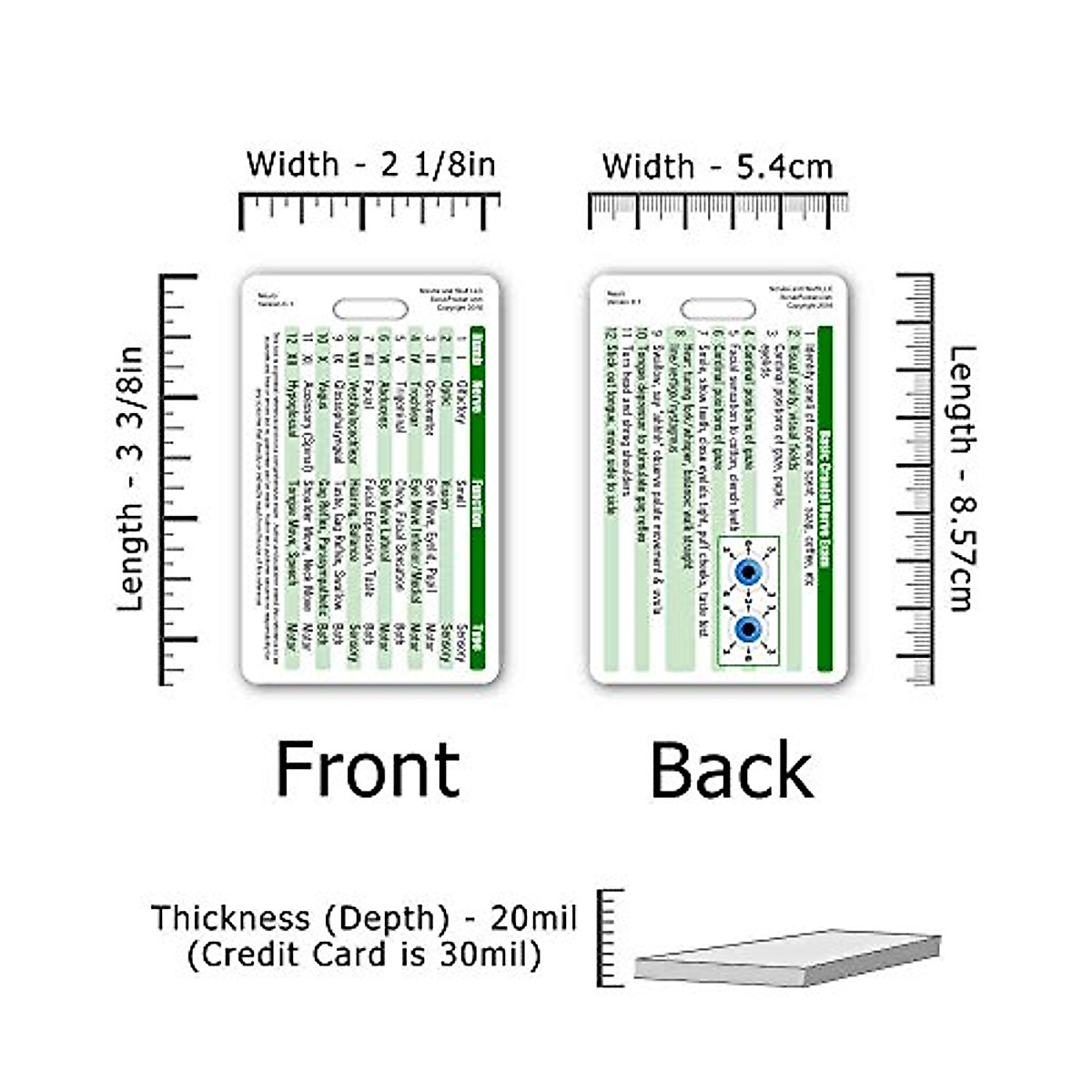 Cranial Nerve Exam Vertical Badge Card (1 Card)