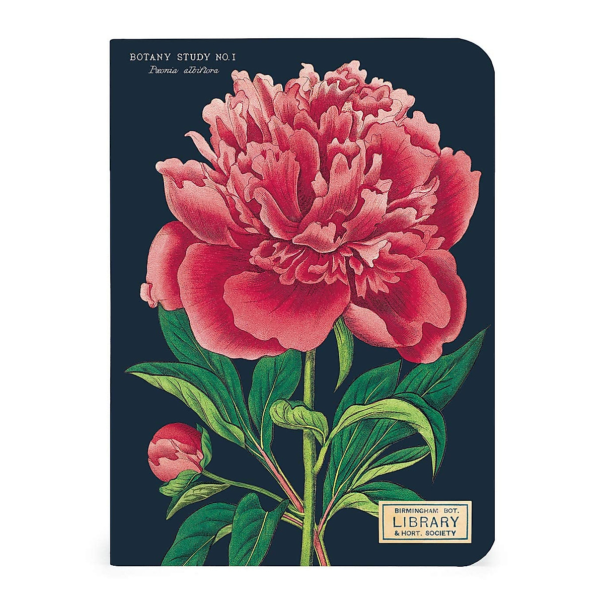Botany Mini Notebooks