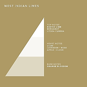 Truefitt & Hill Luxury Cologne - West Indian Limes - Premium Long-Lasting Citrus and Clove Men's Fragrance Presented in a Beautifully Etched Traditional Atomizer Bottle - 3.38 oz